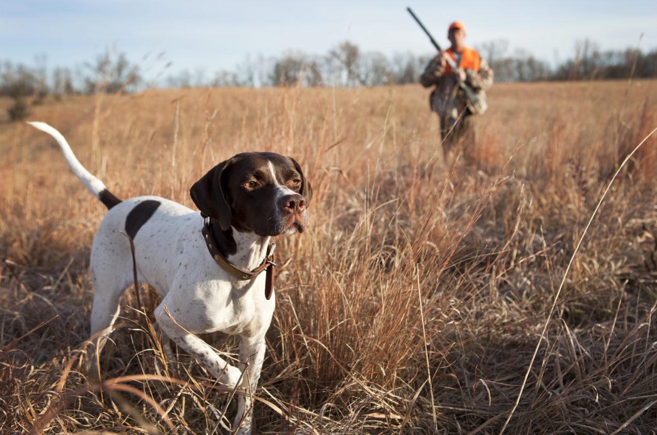 La chasse, une pratique ancestrale – (2: son organisation ...