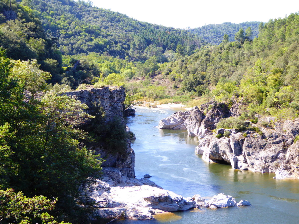 Festival de l’Eau et Biodiversité | Rassemblement autour du doux